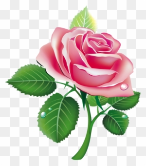 Abstract Pink Rose Vector Clip Art - Rose Bud Vector - Free Transparent ...