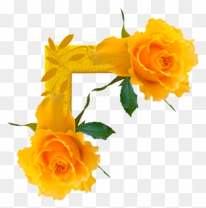 Esquineros Vectores De Flores - Garden Roses - Free Transparent PNG ...
