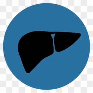 Liver Damage - Portrait Of A Man - Free Transparent PNG Clipart Images ...