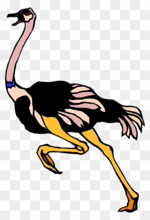 Common Ostrich Cartoon Clip Art - 鴕鳥 卡通 圖 - Free Transparent PNG ...