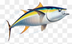 Yellowfin Tuna - Free Transparent PNG Clipart Images Download