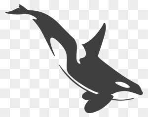 Orca - Orca Graphic - Free Transparent PNG Clipart Images Download