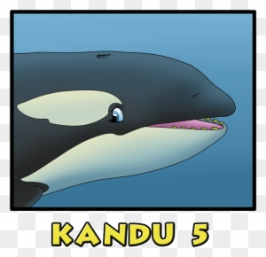 Picture - Kandu 5 Orca - Free Transparent PNG Clipart Images Download
