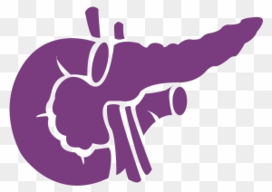 Pancreas Free Icon - Pancreas Svg - Free Transparent PNG Clipart Images ...