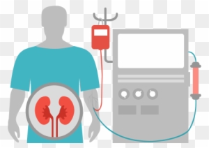Treatment For Kidney Disease The Correct Understanding - Sick Kidney ...
