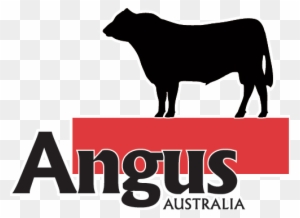 Angus Australia Logo Colour - Angus Australia - Free Transparent PNG ...
