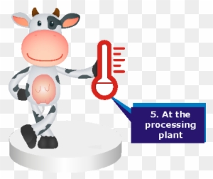 At The Dairy Processing Plant, The Milk Is Pumped To - Milk Process ...
