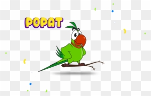 Popat - Budgie - Free Transparent PNG Clipart Images Download