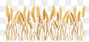 Wheat Clipart Border - Grain Vector Free Download - Free Transparent ...