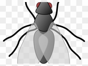 Free Clipart Flies, Transparent PNG Clipart Images Free Download ...