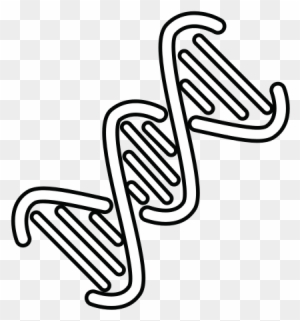 Dna Png - Dna Chain Png - Free Transparent PNG Clipart Images Download