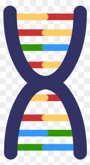 Build Dna Clipart Transparent - Dna Mutation Png - Free Transparent PNG ...