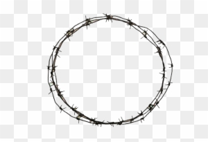Barbed Wire Frame - Barbed Wire Circle Vector - Free Transparent PNG ...