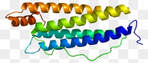 Human Ferritin Heavy Chain - Free Transparent PNG Clipart Images Download