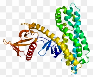 Protein Arhgef4 Pdb - Protein - Free Transparent PNG Clipart Images ...