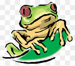 Rain Forest - Red Eyed Tree Frog - Free Transparent PNG Clipart Images ...