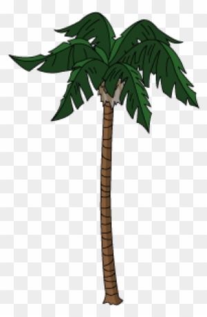 Decoration Palmtree Thumbnail@4x - Palm Trees - Free Transparent PNG ...