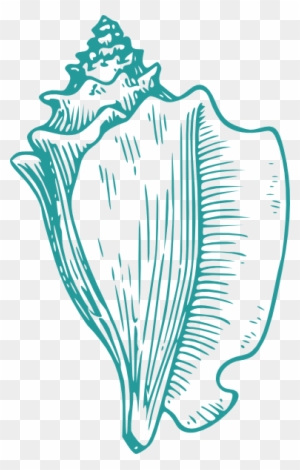 Teal Seashell Clipart