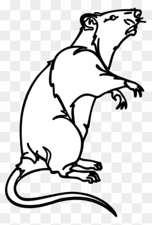 Running Rat Clipart Panda