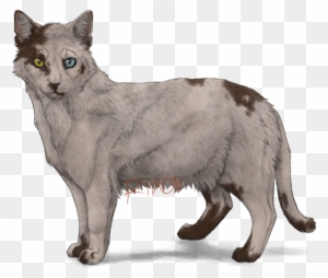 Piebald Cat By Riixon - Brown Piebald Cat - Free Transparent PNG ...