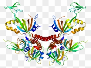 Protein Strand - Free Transparent PNG Clipart Images Download