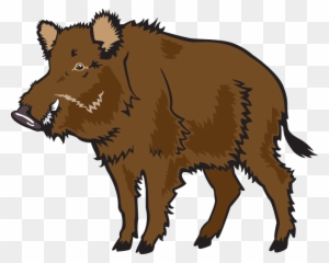 Wild Pig Clipart, Transparent PNG Clipart Images Free Download - ClipartMax