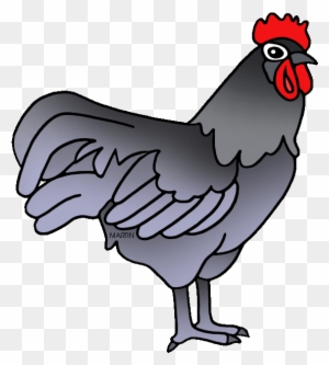 State Bird Of Delaware - State Bird Of Delaware - Free Transparent PNG ...