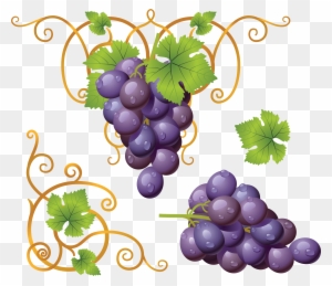 Dessin Grappe Raisin - Free Transparent PNG Clipart Images Download