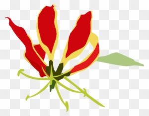 Fire Lily - Free Transparent PNG Clipart Images Download