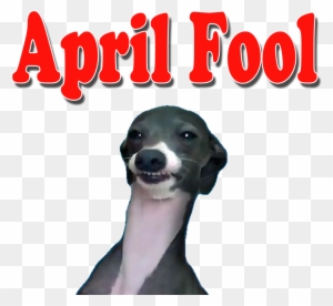 April Fool's Day Png Pictures - Kermit From Jenna Marbles - Free ...