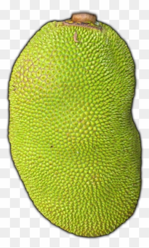 Clipart Jackfruit - - Cempedak - Free Transparent PNG Clipart Images ...