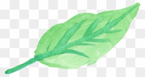Free Download - Green Watercolour Leaves Png - Free Transparent PNG ...