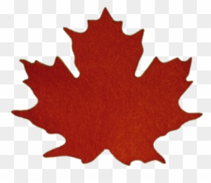 Leaf Png Photo - Sugar Maple Leaf In Fall - Free Transparent PNG ...