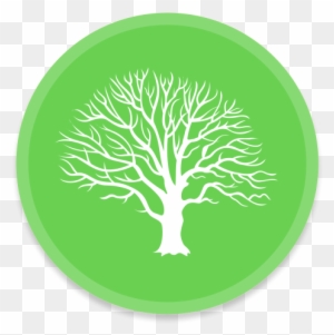 An Image Of An Abstract Family Tree Icon - Tree - Free Transparent PNG ...