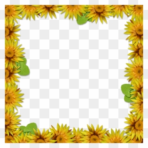 Flower Frame Overlay 2 By Hggraphicdesigns Flower Frame - Flower - Free ...