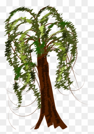 Weeping Willow - Cartoon - Free Transparent PNG Clipart Images Download