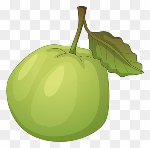 Guava Tree Clip Art