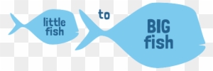 Little Fish To Big Fish - Graphic Design - Free Transparent PNG Clipart ...
