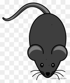 Black Mouse Animal Free Black White Clipart Images - Cartoon Mouse Tail ...