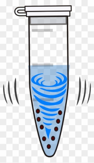 Vortex Clipart, Transparent PNG Clipart Images Free Download - ClipartMax