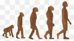 Evolution Steps Clip Art At Clker - Does It Mean To Be Human - Free ...
