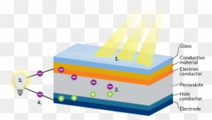 How Birth Control Works - American Chemical Society - Free Transparent ...