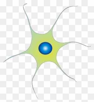 527px-neuron - Annotated - Svg - Structure Of Biological Neuron - Free ...