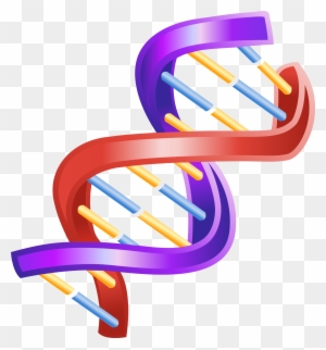 Double Helix Clip Art, Transparent PNG Clipart Images Free Download ...