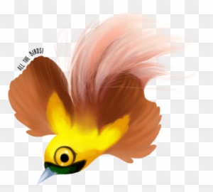 Goldie's Bird Of Paradise Paradisaea Decora - Hornbill - Free ...