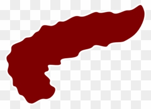 Pancreas Free Icon - Pancreas Svg - Free Transparent PNG Clipart Images ...