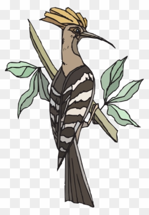 Vektor Burung Hud Hud - Free Transparent PNG Clipart Images Download