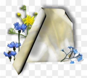 Parchments With Flowers - Remerciments Gif - Free Transparent PNG ...