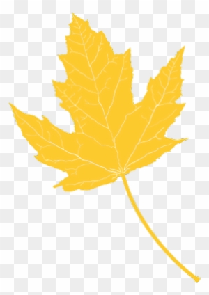 Maplesden Noakes - Maplesden Noakes School - Free Transparent PNG ...