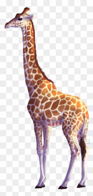 Giraffe Transparent - Animal Png Transparent Backgrounds - Free ...